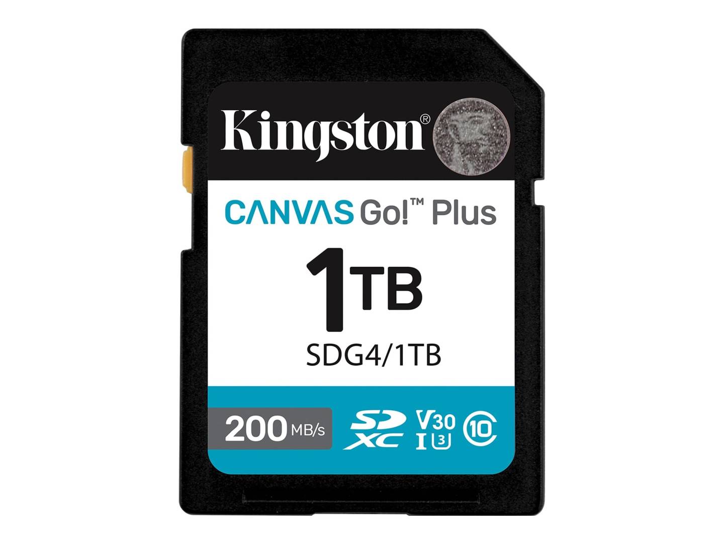 Kingston Canvas Go! Plus Flash memory card 1 TB Video | SDG4/1TB